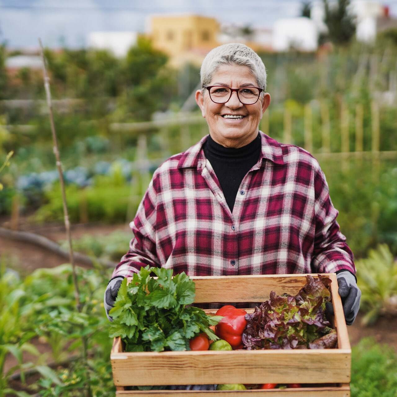 Quels sont les différents types de viandes ? - Plaisirs fermiers